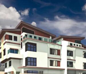 The Developer | Anyana